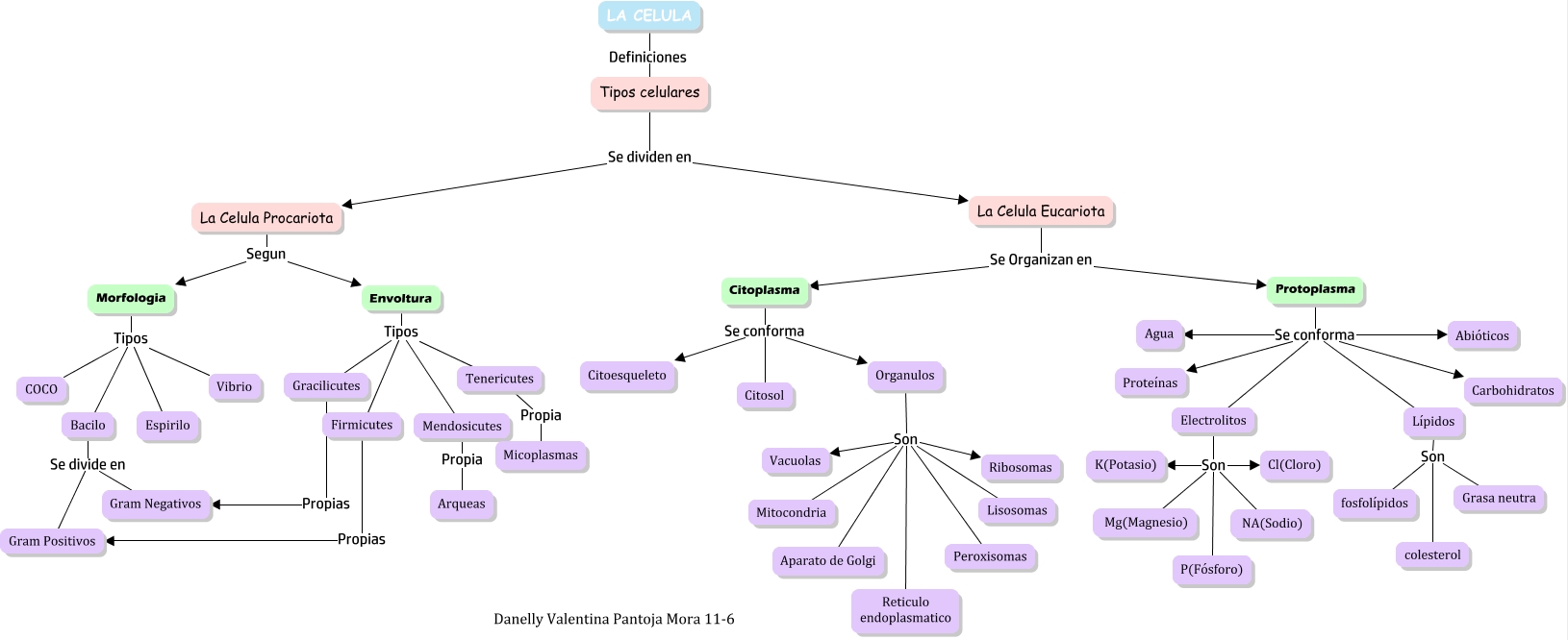 Informatica (La celula)